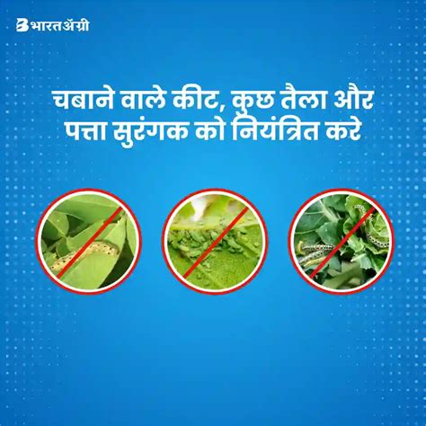 Buy Basf Insecticide Online In India Sale Upto 35 Off Free Cod