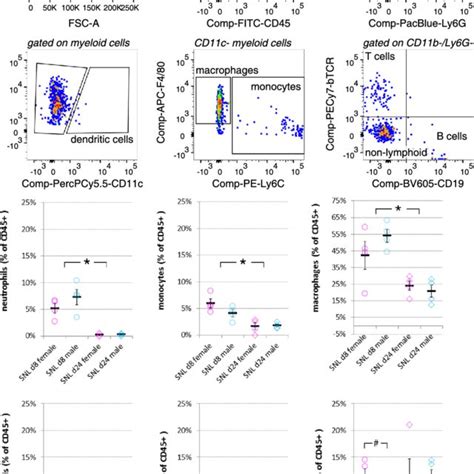 Flow Cytometry Analysis Of Mouse Spinal Cord After Snl Reveals Very Few