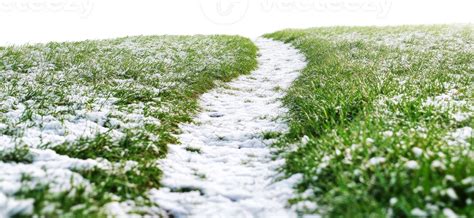 Pathway Through Snow And Grass During Winter 55498682 Png