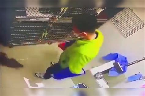 瑞鹏宠物医院因 医生狂踹虐待猫咪”停业整改 网友：请直接封杀