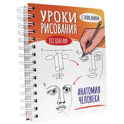 Скетчбук Проф-Пресс А5 уроки рисования по шагам Анатомия человека ...
