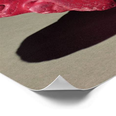 Grasshopper From Chapultepec Mexico C1500 Carn Poster Zazzle