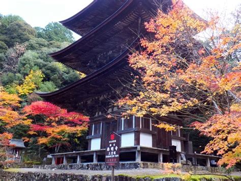 西明寺三重塔の写真一覧 じゃらんnet