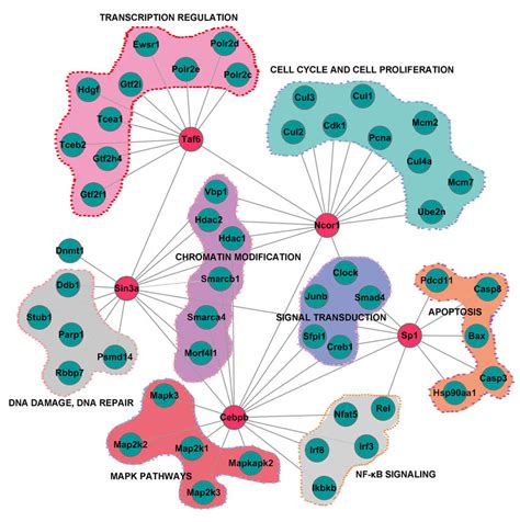 Subnetwork Constructed By Data Dependent Network Analysis Of Proteins
