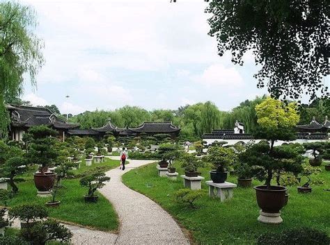 扬州盆景园 动植园案例 筑龙园林景观论坛