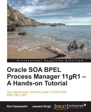 Bpel Activities Oracle Soa Bpel Process Manager Gr A Hands On Tutorial Book