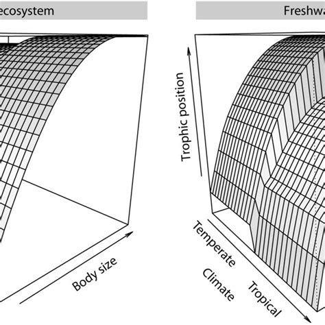 Smoothing Curves Cubic Regression Spline Representing Estimated Download Scientific Diagram