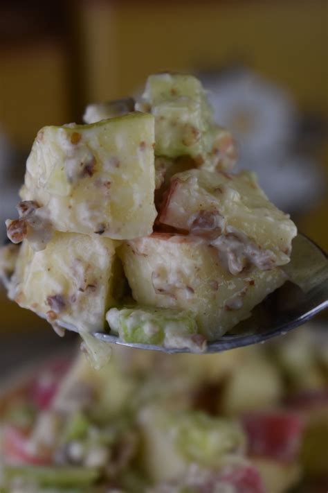 Old Fashioned Bologna Salad Recipe These Old Cookbooks