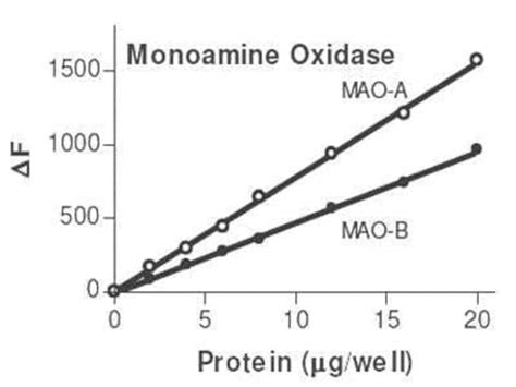 Novus Biologicals Mao A Assay Kit Fluorometric 1 Kit Cell Analysis