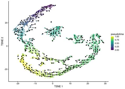 Chapter 10 Trajectory Analysis Advanced Single Cell Analysis With Bioconductor