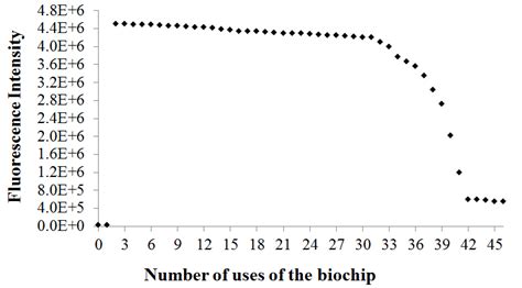14 Fluorescence Intensity For Etbr Intercalated Into The Dna Released
