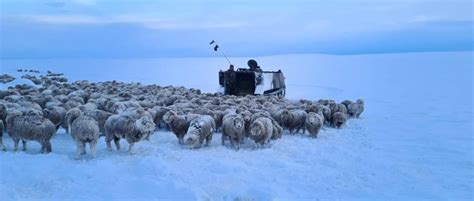 Ola De Frío Polar En Argentina Ríos Congelados Y Temperaturas Bajo Cero