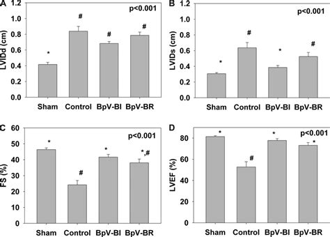 Left Ventricular Internal Diameter In Diastole Lvidd A And Systole Download Scientific