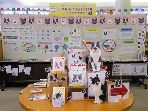 くまおキーワードに命考えよう 猫ノ図書館2周年 犬や猫ともっと幸せにをコンセプトにしたWEBメディアsippo