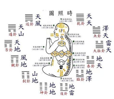 丹道周天功之河车运转功 知乎