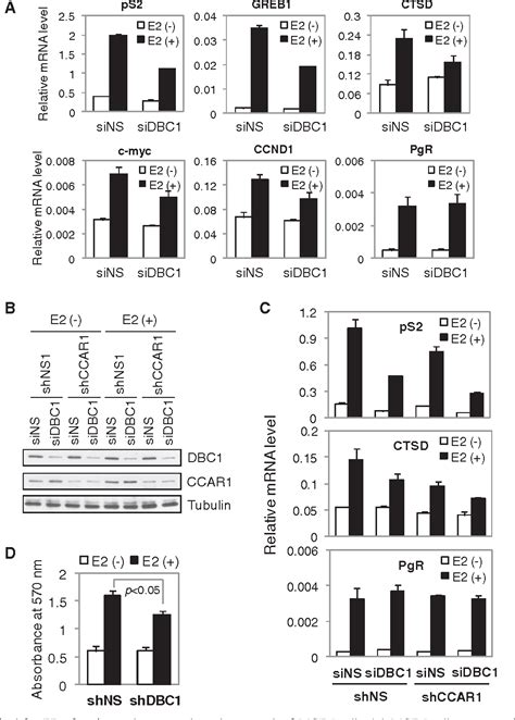 Figure 1 From Reciprocal Roles Of Dbc1 And Sirt1 In Regulating Estrogen