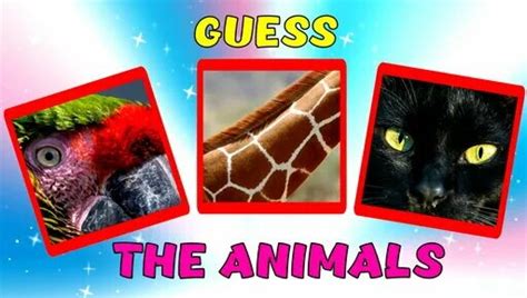 Учим английский для детей Развивающие мультики Животные на английском языке Смотреть онлайн в