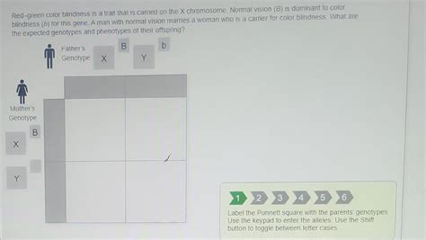 Solved Red-green color blindness is a trait that is carried | Chegg.com