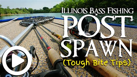 When Do Bass Spawn In Illinois Angling Journal