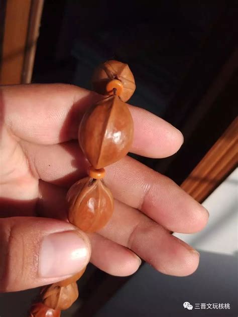 怎么让橄榄核发芽 橄榄核怎么发芽最快 橄榄核怎么催芽 大山谷图库