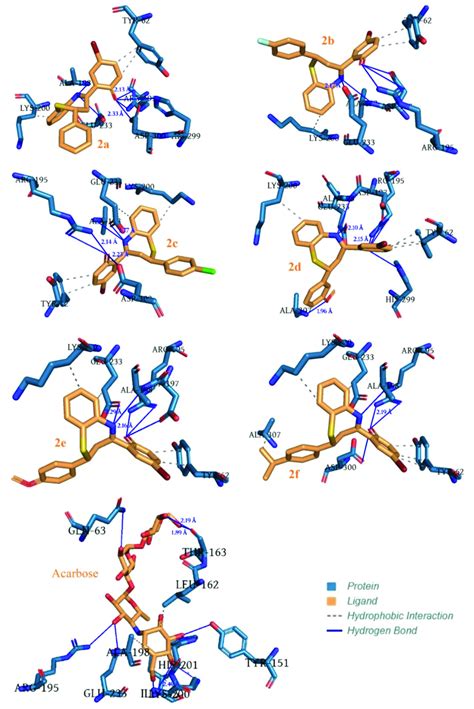 The Interactions Of Compounds 2a F And Acarbose In The Binding Pocket