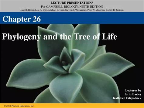 Ppt Phylogeny And The Tree Of Life Powerpoint Presentation Free