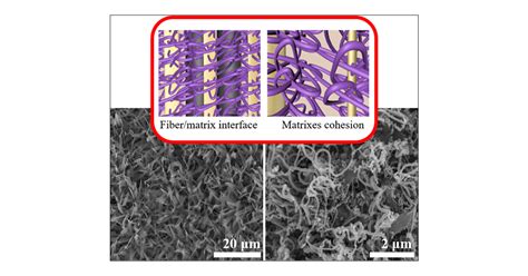 Interfacial Design And Construction Of Carbon Fiber Composites By Strongly Bound Hydroxyapatite