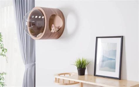 14 Casas Y Camas Para Gatos Con Puro Diseño Y Arquitectura Ovacen