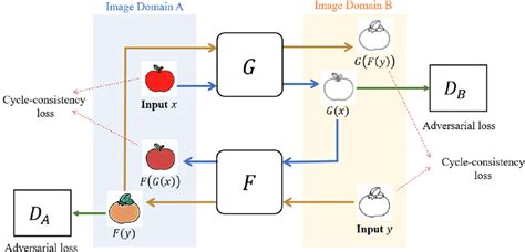 network architecture and data flow chart of cyclegan for image‐to‐image