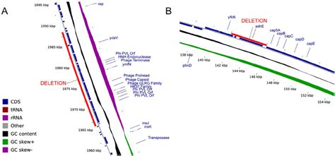 examples of large insertion deletion polymorphisms within single hosts