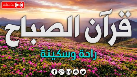 قرآن الصباح ☀️ قرآن كريم بصوت جميل جدا جدا يريح القلب 🤍 القارئ ماجد