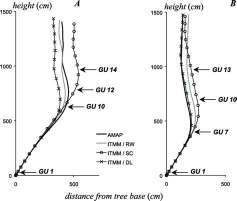 Stem Shape Resulting From 20 Calculation Steps Of A Tree T2 And B Download Scientific Diagram