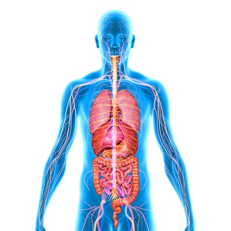 Biologically Active Peptides Biomol Blog Resources Biomol Gmbh