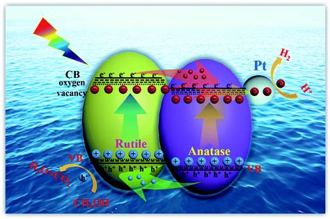 Homojunction And Defect Synergy Mediated Electron Hole Separation For