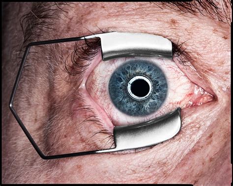 The Clockwork Condition The New Yorker