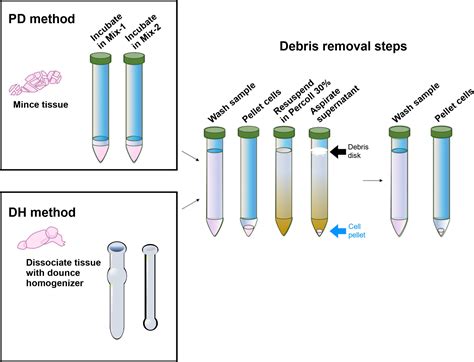 Simultaneous Flow Cytometric Characterization Of Multiple Cell Types