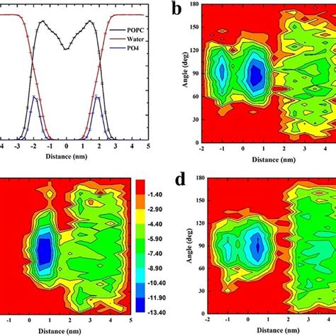 A Density Distribution Of Popc Membrane Water And Phosphate Group Download Scientific