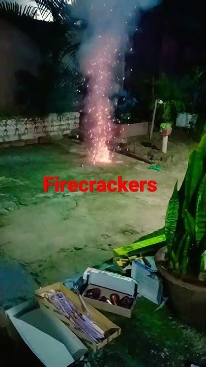 Enjoying firecrackers - YouTube