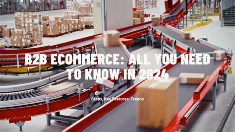 B2b Ecommerce All You Need To Know In 2024