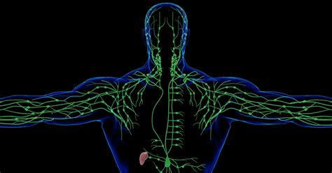 Swollen Lymph Nodes Neck Strep Throat