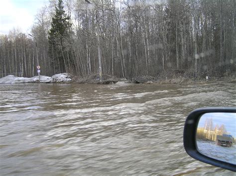 Поток воды // Stream of water | Из леса вытекает большой пот… | Flickr