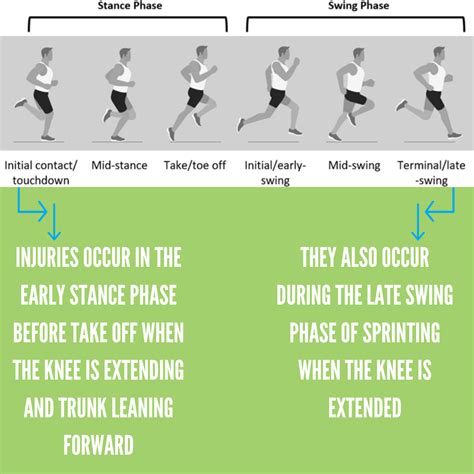Section 4 When Do Hamstring Injuries Occur Physio Performance