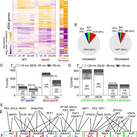 Identification Of Glucose Responsive Metabolites A Left Heat Map Of