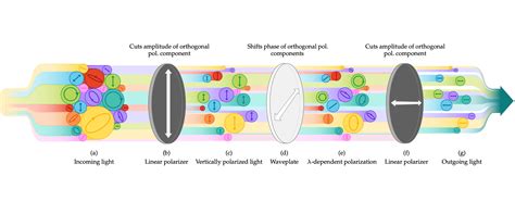 Diy Hyperspectral Imaging Via Polarization Induced Spectral Filters