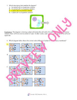AP Biology Practice Cell Structure And Function Easy Fun Science