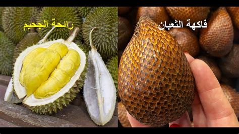 ترتيب أغرب 10 فواكه في العالم Youtube