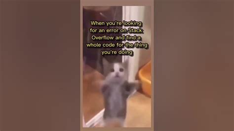 Ever Happened With You 😂😂🤣comedy Coding Programming Programmer