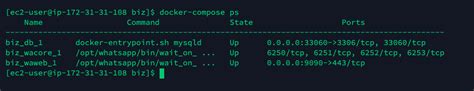 Amazon Web Services Docker Map Port Host On Aws Ec2 Stack Overflow
