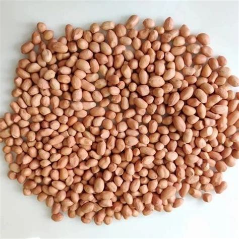 Whole Bukene Raw Peanut Kernel At ₹ 150 Kg In Ongole Id 2850241771997