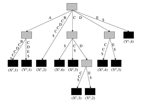Suffix Tree Constructed From X C A B C D C C And Y C A C D Download Scientific
